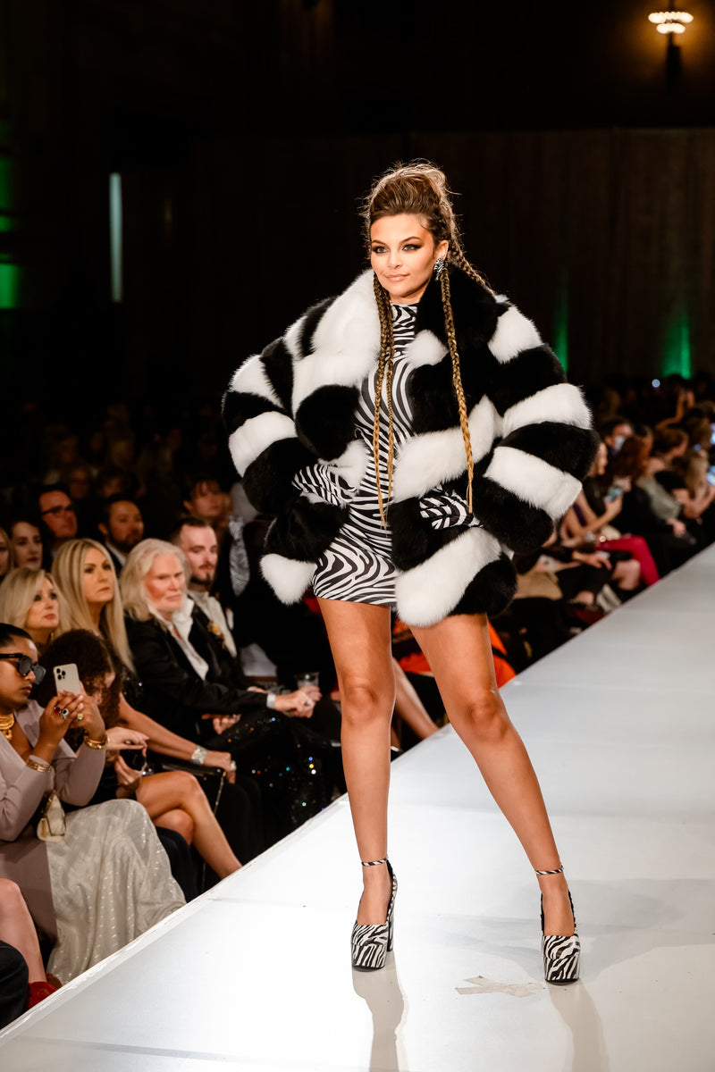 Zebra Queen– Cherish The Furs